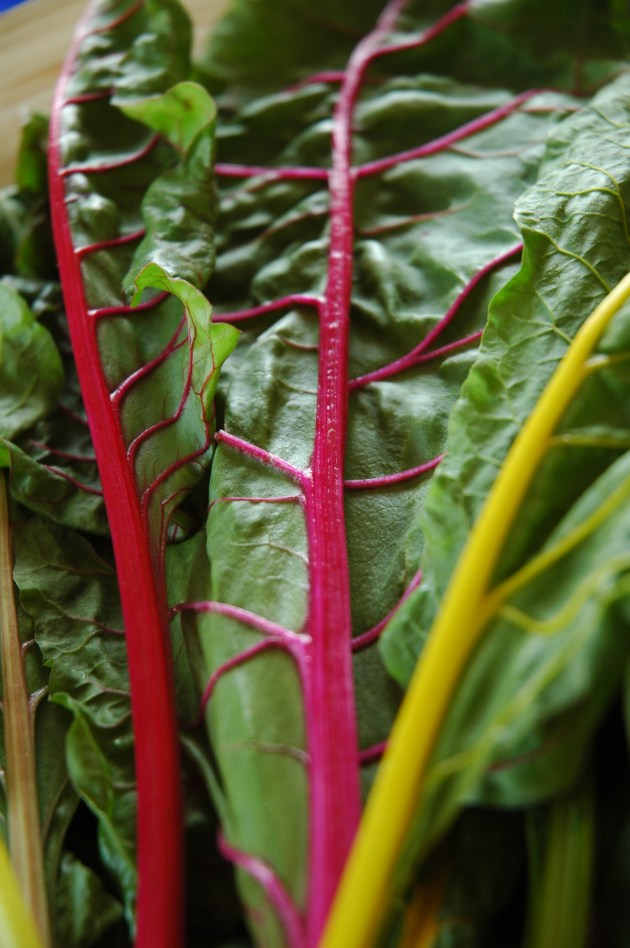 | Speedy, Delicious and Nutritious: Swiss Chard with Raisins and Pine ...